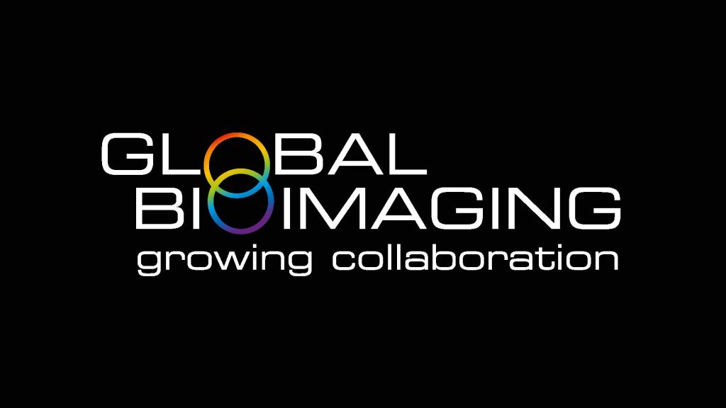 Degree In Biomedical Imaging Turku Bioimaging