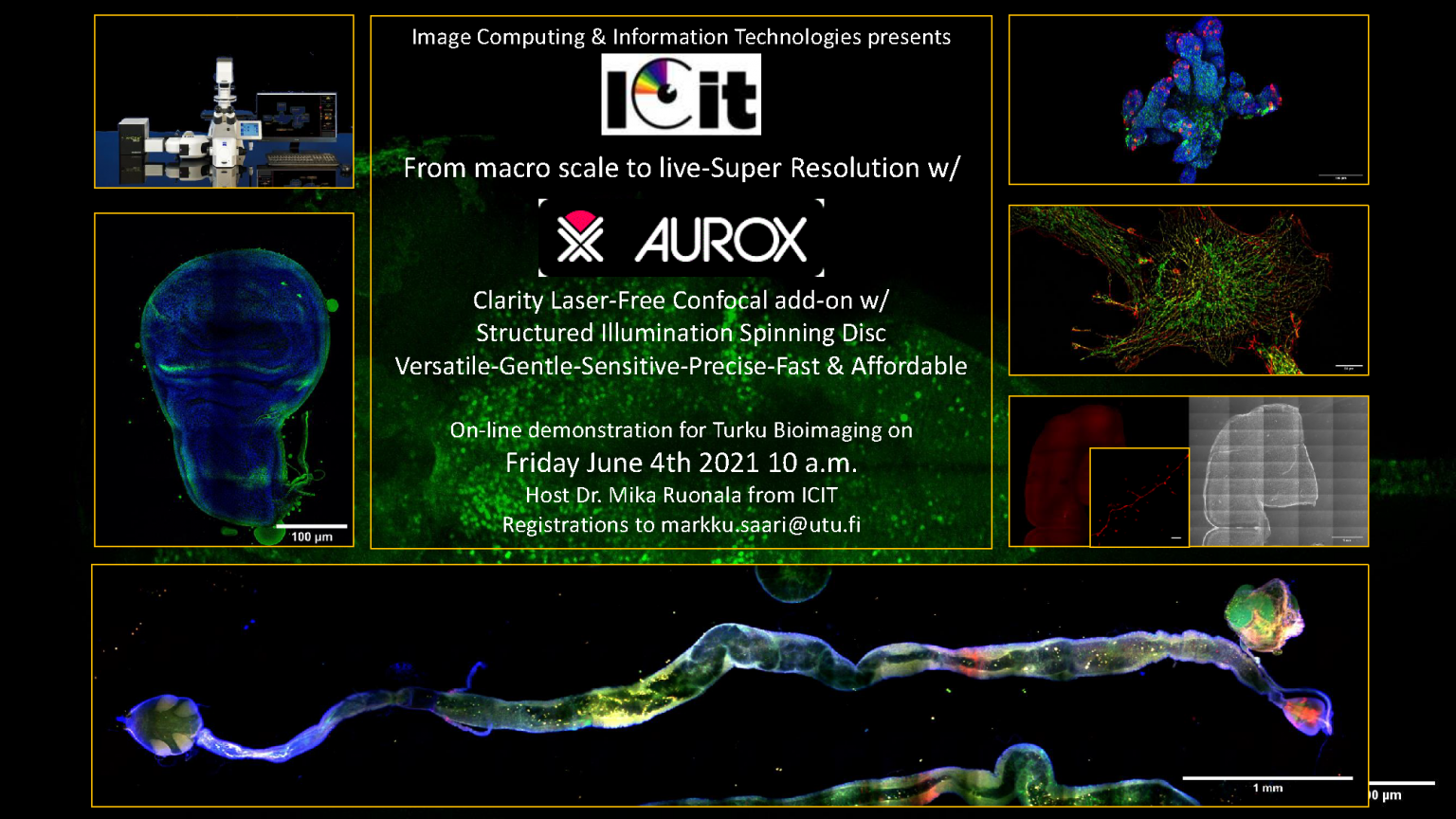 Welcome to Aurox Clarity fast confocal microscope demo - Turku Bioimaging